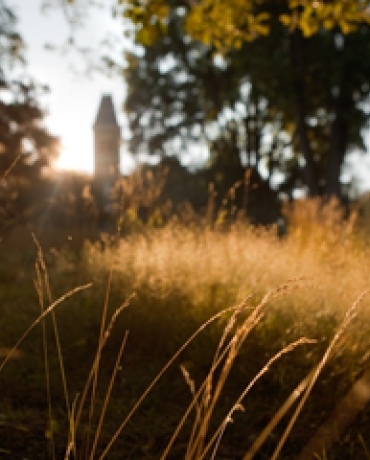 Dump & Run | Sustainable Campus